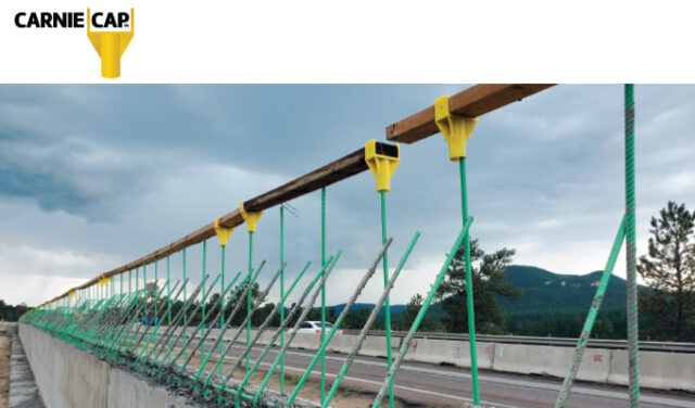 Rebar Cap System | Modern Contractor Solutions