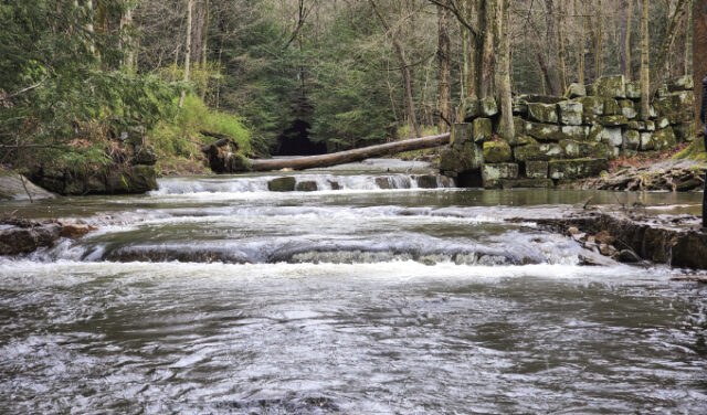 Stream Restoration | Modern Contractor Solutions